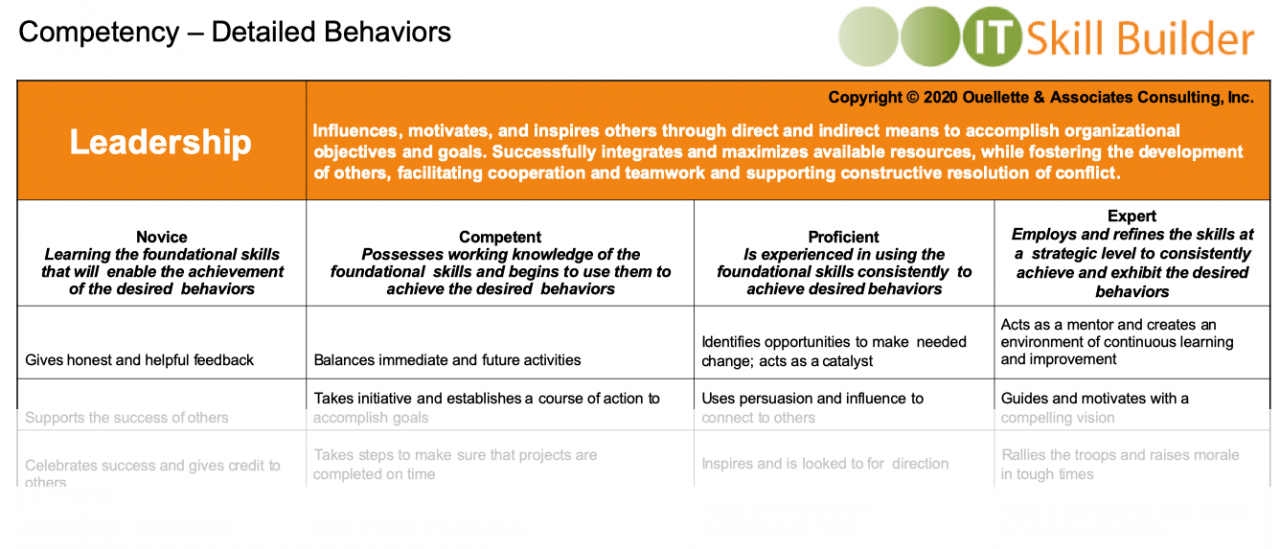 Skill Builder: Benefits for Mentors » The Tech LX